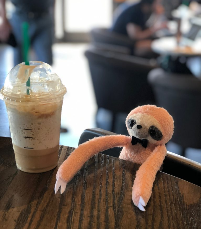 Sloth Coffee - Bear Fruit With Patience